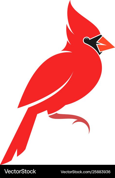 Northern Cardinal Royalty Free Vector Image VectorStock