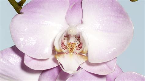 Everything You Need To Know About Sex Toys In The Groove