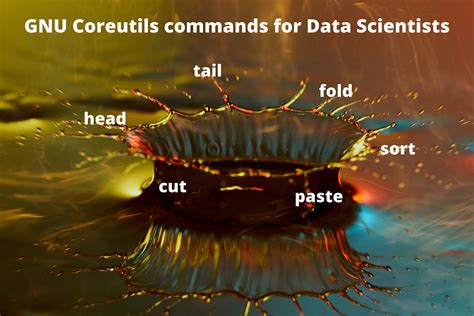 6 linux commands for data scientists by shinichi okada mkdir