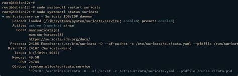 How To Install Suricata Idsips On Debian 12 Vitux