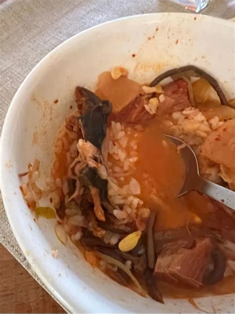 이슈유머 혐오주의 현재 음식에 쥐 나와서 난리난 뉴욕 한인식당 감미옥