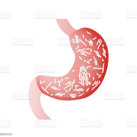 유산 균 Probiotics 아이콘 건강관리와 의술에 대한 스톡 벡터 아트 및 기타 이미지 건강관리와 의술 건강한 생활방식