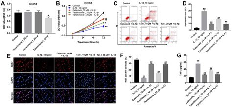 Tanshinone I Inhibited Il 1β Induced Apoptosis And Inflammation In