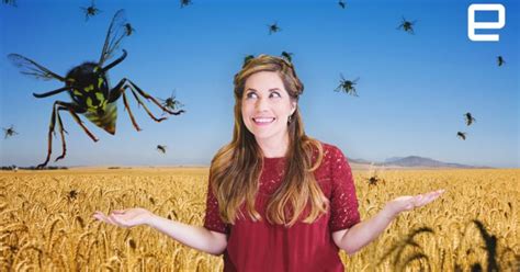 Algorithm Inspired By Bees Fixing Internet Traffic