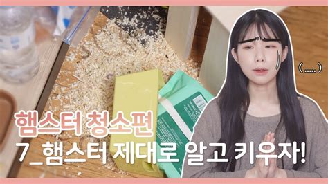 [햄제알 7편] 햄스터 케이지 베딩 청소 Youtube