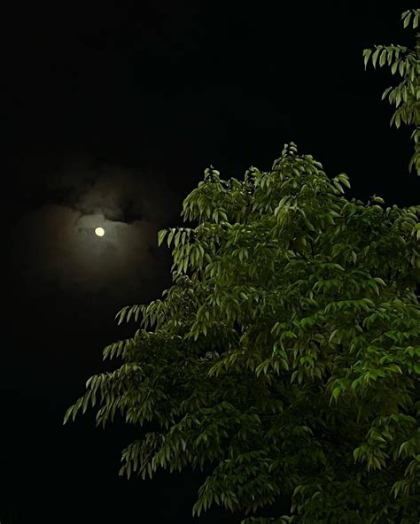 Được đăng Bởi Zofbooks 물성의 제트 도서정가제 이후로 조금만 두꺼운 책은 만 오천원이 넘어간다라며
