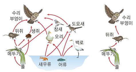 미래엔 엠티처