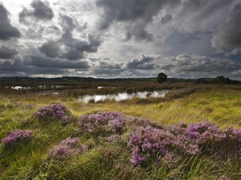 Cors Caron National Nature Reserve Visitwales