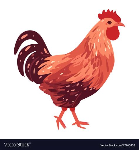 Standing Cockerel Symbolizes Rural Of Livestock Vector Image