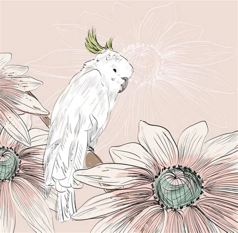 Cockatiels Vector Art Stock Images Depositphotos