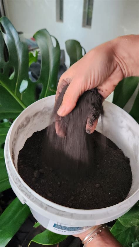 Organic Fertilisers And Sustainable Farming Soil Dynamics