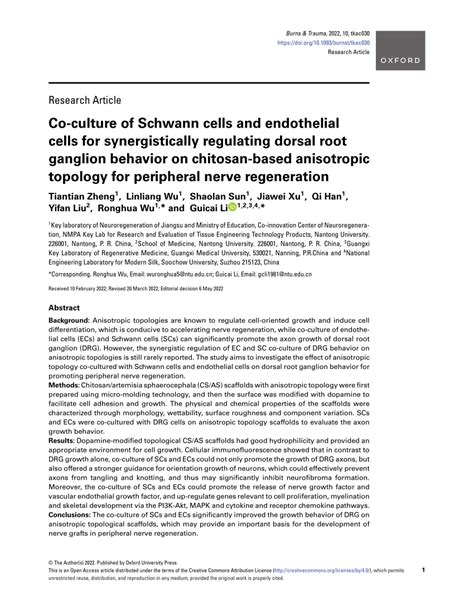 Pdf Co Culture Of Schwann Cells And Endothelial Cells For Synergistically Regulating Dorsal