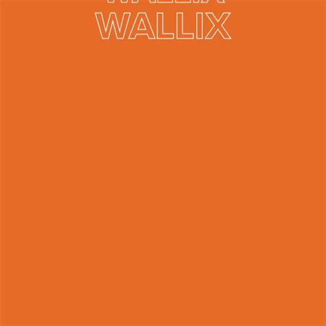 Video Wallix Group On Linkedin Wallix Group Creates A Committee Of