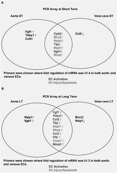 Gene Expression Profiling By Real Time Pcr Array A Families Of Genes