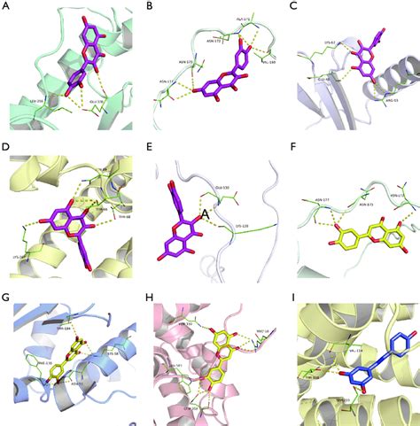 Compound Docking With The Target Protein Molecule The Yellow Dotted