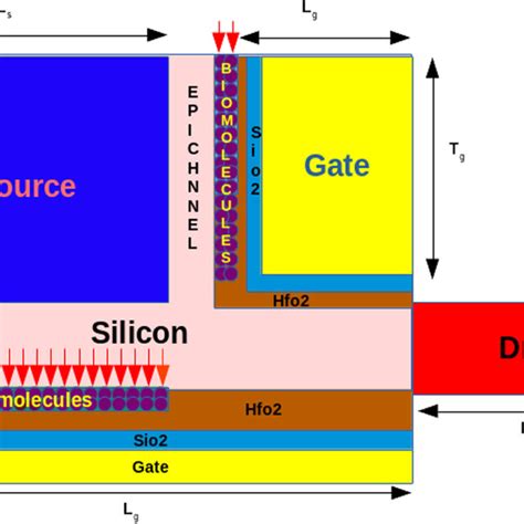 Proposed Rt Shaped Dg Tfet In 3d View Download Scientific Diagram