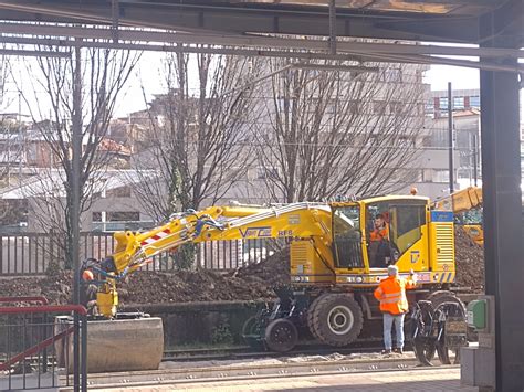 Lavori Sulla S P 23 Senso Unico Alternato A Oltrona San Mamette