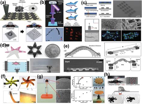 3D Printed Magnetic Robot Driven By Magnetic Force A Elastomeric