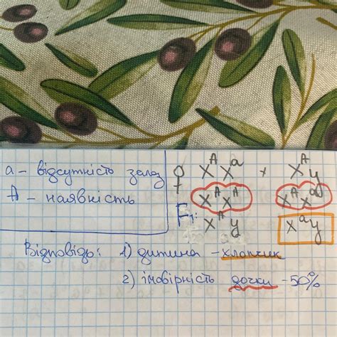 Відсутність потових залоз успадковується як рецесивна зчеплена з Х хромосомою ознака У здорових