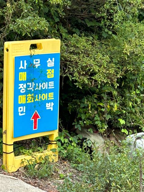 밀양 캠핑장 추천 호수뷰로 유명한 호반 캠핑장 솔직 후기 B Bf C 추천 사이트 정보 네이버 블로그