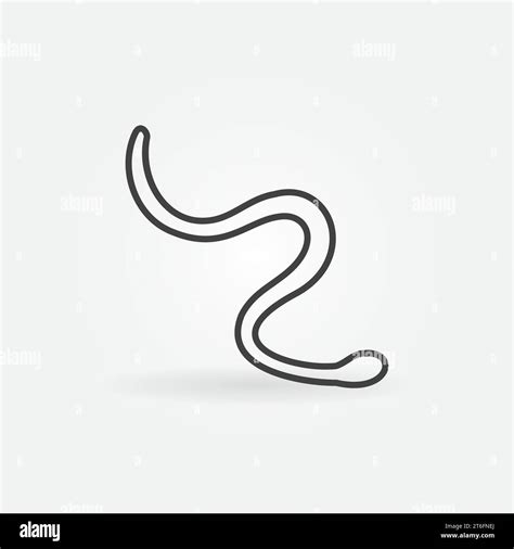 Roundworm Vector Concept Icon Or Sign In Outline Style Stock Vector Image And Art Alamy