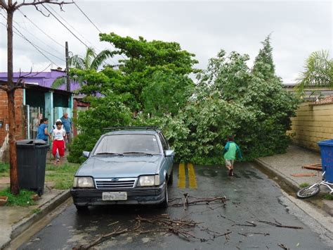 G1 Chuva derruba árvores e alaga bairros na região de Sorocaba SP