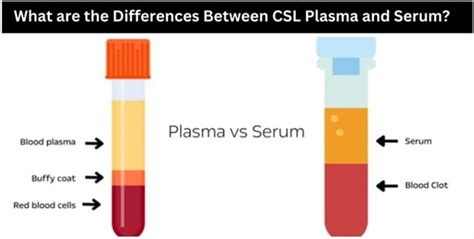 What Are The Differences Between Csl Plasma And Serum