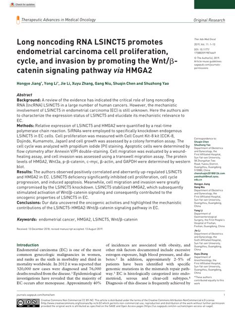 Pdf Long Noncoding Rna Lsinct5 Promotes Endometrial Carcinoma Cell