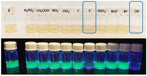 Anion Dual Mode Fluoro Chromogenic Chemosensor Based On A Bodipy Core