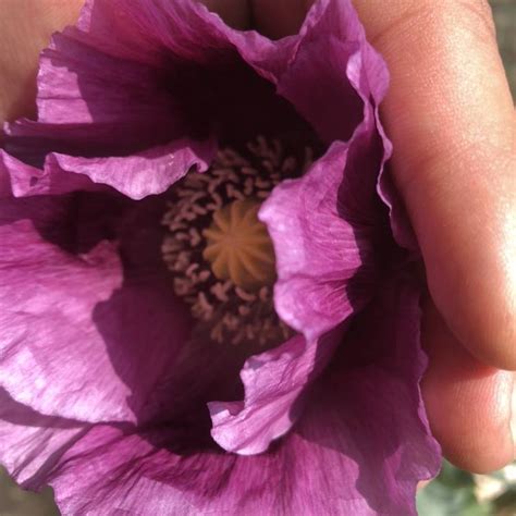 ipconfig和ifconfig：网络配置命令对比解析 windows 功能 信息