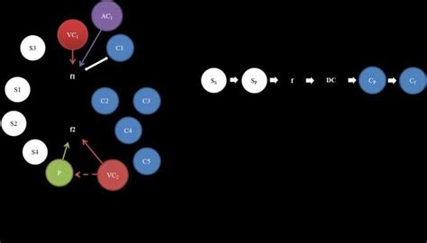 A Market Viewed As An Ecosystem And Also As A Value Chain Download Scientific Diagram