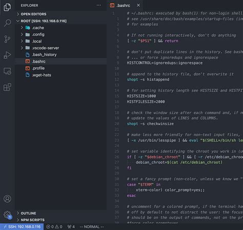 Desarrollo De Código Remoto En Termux Usando Vs Code Y Neovim