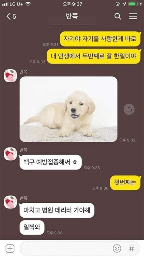 여자친구한테는 먹히고 와이프에겐 안먹히는 멘트 인스티즈 Instiz 이슈 카테고리