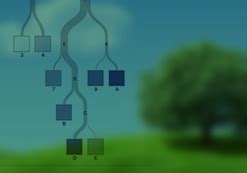 Pointer In C Step By Step Hands On C Programming C Courses C Online Courses