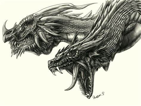 Two Headed Dragon Drawing At Explore Collection Of