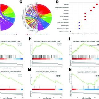 Enrichment Analyses Go Kegg Do Gsea Of Immune Degs A Circos