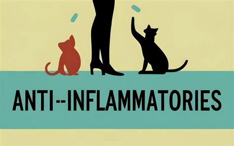 Antiinflamatorios Foto Premium