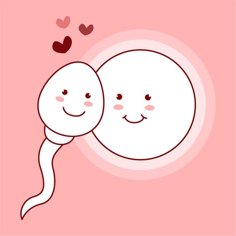 Sperm And Egg Character Human Sperm And Egg Cute Cartoon 32420636
