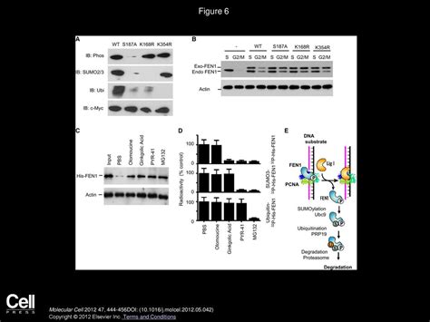 Volume 47 Issue 3 Pages August 2012 Ppt Download