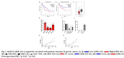 LncRNA LIFR AS Regulated Chemoresistance Of Gastric Cancer Cells Through Regulating MicroRNA
