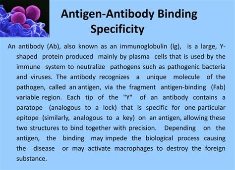 Natural And Artificial Immunity Pptx