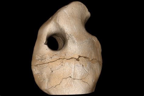 Early Humans Survived Americas Ice Age Archaeologists Say Usa Daily