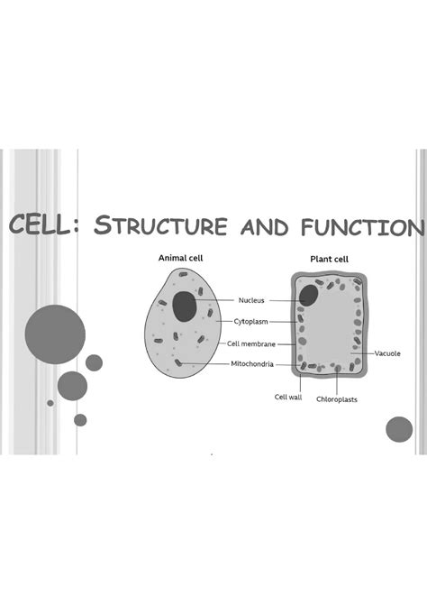 SOLUTION Cell Structure And Function Studypool