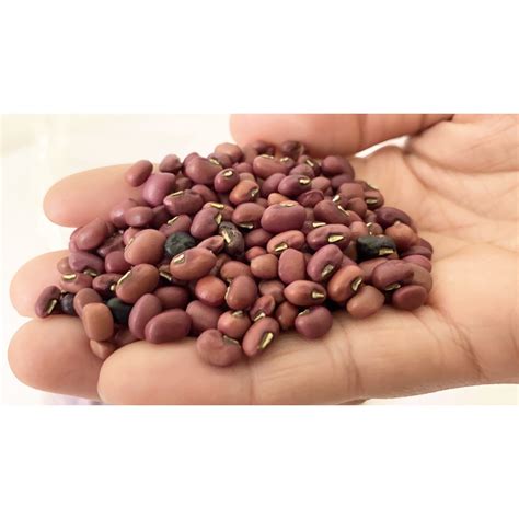 Mua Đậu đỏ Hạt Nhỏ Hữu Cơ Hàng đẹp Giá Tốt 05kg And 1 Kg Bao Gồm Loại