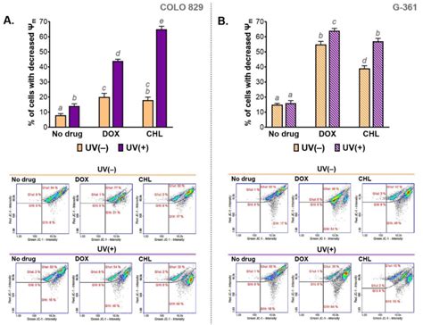 The Analysis Of The Mitochondrial Membrane Potential ψm In Melanoma