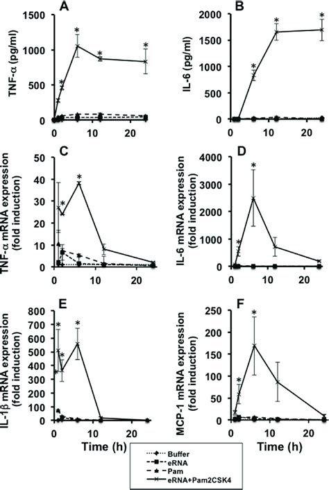 Time Dependent Cytokine Expression From Macrophages Treated With Download Scientific Diagram