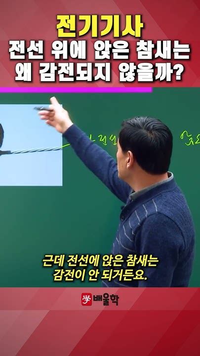 전기기사 전선 위에 앉은 참새는 왜 감전되지 않을까 Shorts Youtube