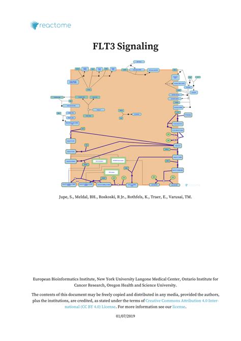 Pdf Flt3 Signaling