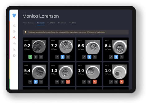 What Is The Morula Stage And Why Is It Important In Ivf Aivf