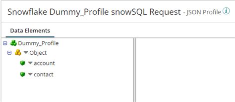 article dynamically set database name within snowflake connector